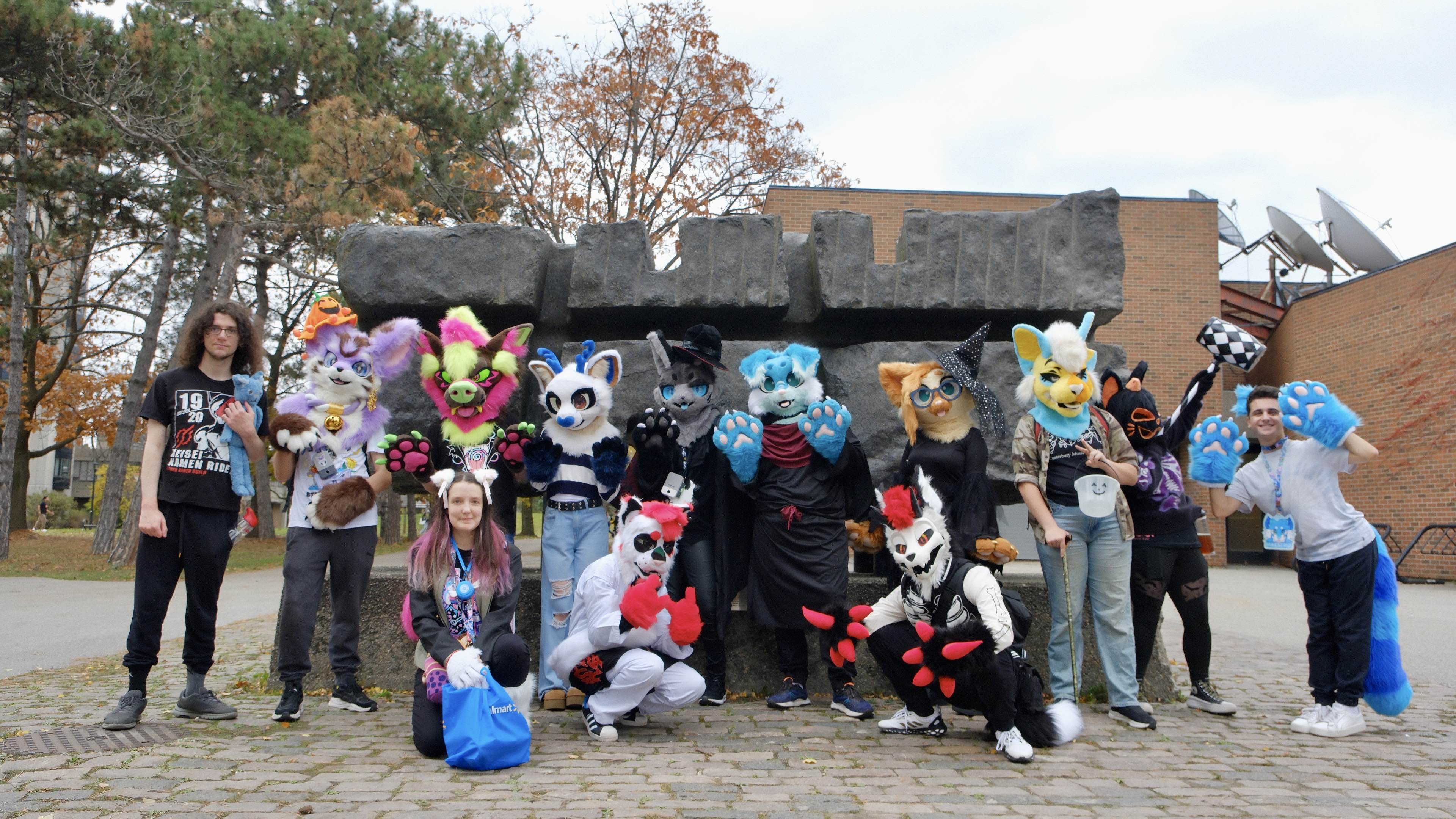 Furry @ York Home Page